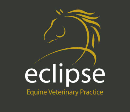 Gastroscopy | Eclipse Equine Veterinary Practice